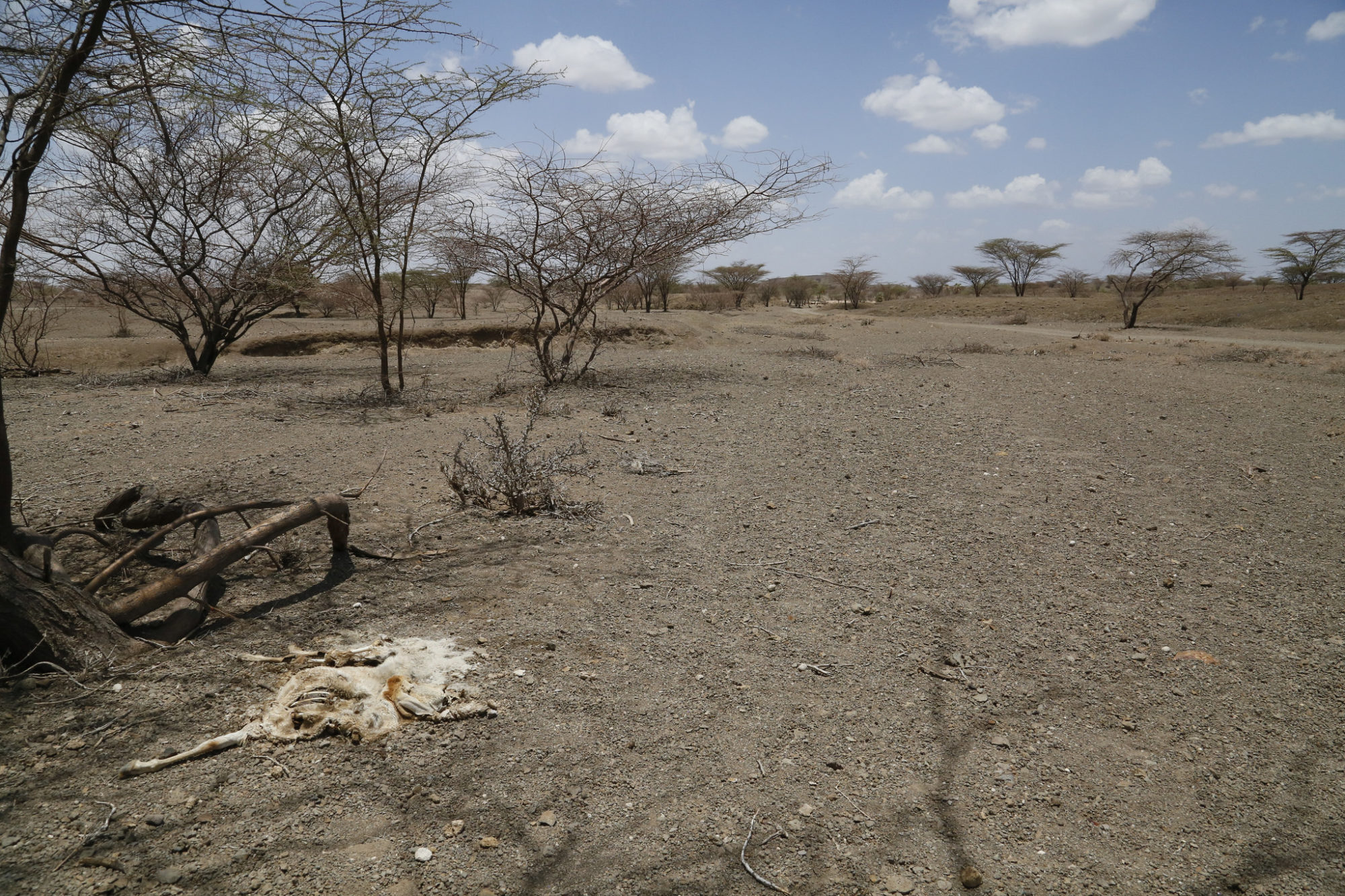 Evaluating the Humanitarian System’s Response to Droughts in Ethiopia ...
